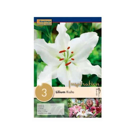 BULBO LILIUM RIALTO SIBERIA 3 BULBOS | ESPIÑEIRA Centro de Jardinería S.L.